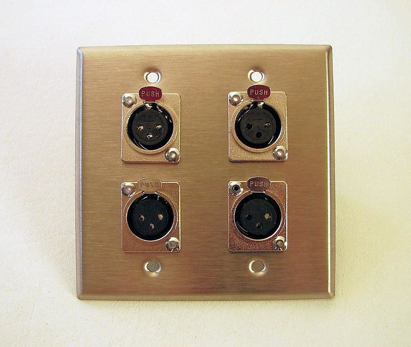 PROCRAFT DPL-4XF-SS 2 Gang Stainless Steel Wall Plate Loaded | Reverb