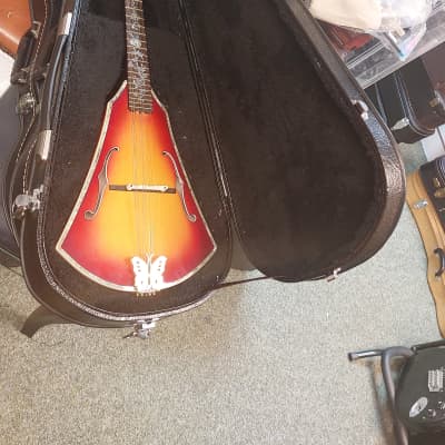 Lepore mandolin 'moth' mandolin | Reverb