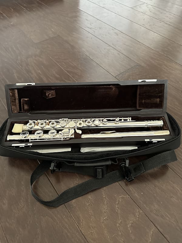 Di Zhao DZ-600 - Silver | Reverb