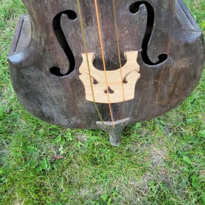 Unique Upright Bass - Rare, "Gypsy" style, gut 3-string bass | Reverb