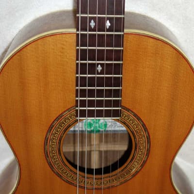 1999 Michael Turko "Tennessee Tornado " Parlor Guitar | Reverb