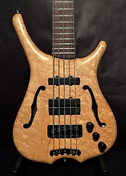 Warwick Infinity Semi-Hollow 5 String Bass USED | Reverb