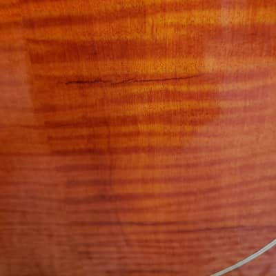 IIDA (Aida, Jida, Lida) 5 String Banjo with Resonator and | Reverb