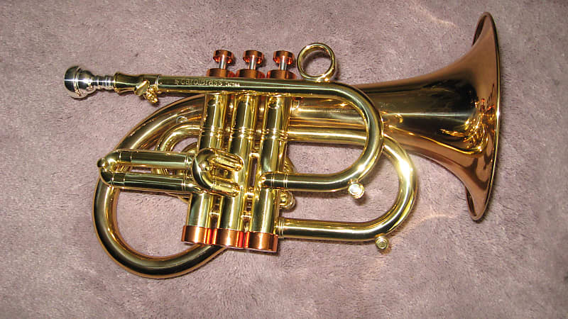 Taylor / Carolbrass Phat Puppy Pocket Flugelhorn Mini | Reverb
