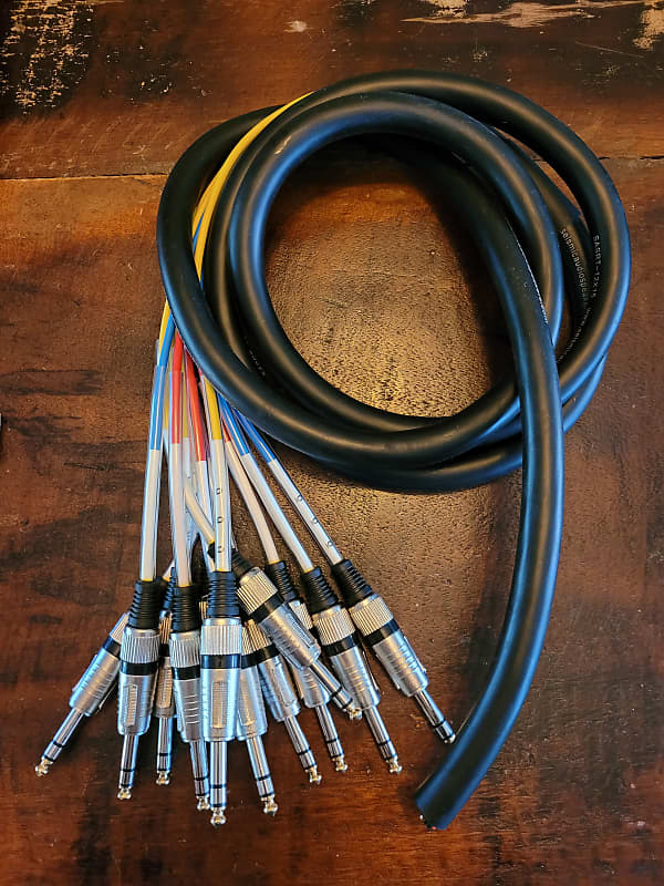 Seismic Audio 6 foot 12 channel snake 2020 Black casing with | Reverb