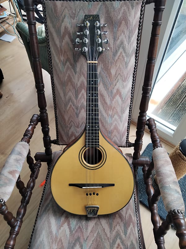 Fylde Touchstone Mandolin + Hard Case | Reverb