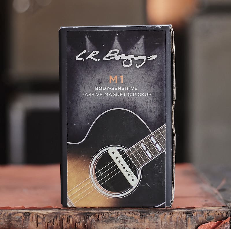 LR Baggs M1 Acoustic Sound Hole Pickup | Reverb