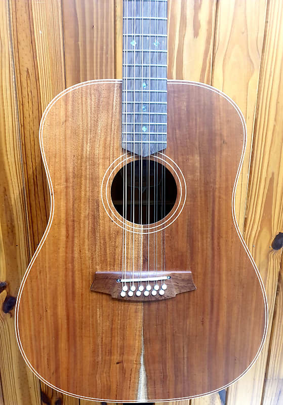 COLE CLARK FAT LADY 2E 12-STRING BLACKWOOD | Reverb Australia