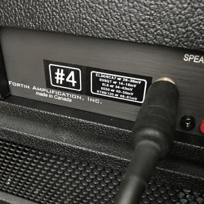 Fortin Meshuggah Amp #4 Made by Mike Fortin Himself in Canada | Reverb