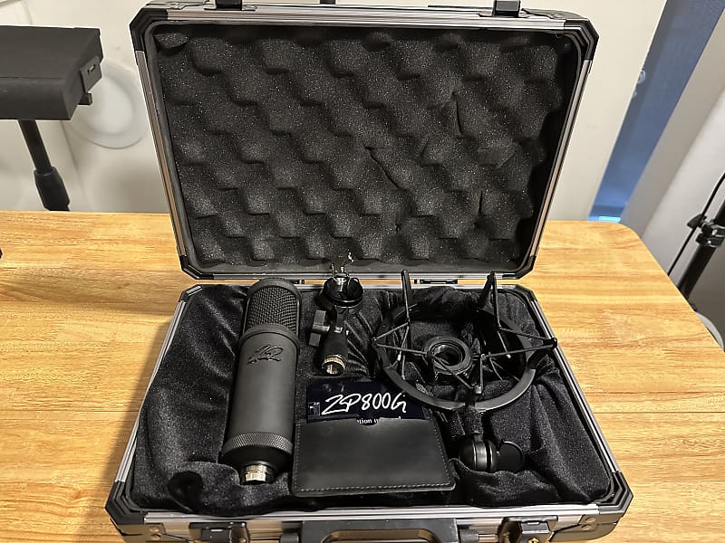 ZP Microphones ZP800G with shock mount, travel case and | Reverb