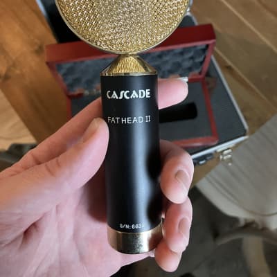 Cascade Fat Head II 2010s - Black/Gold | Reverb