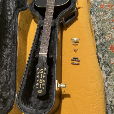 Iris De-11 Dan Erlewine Acoustic Guitar 2022 - Sunburst | Reverb