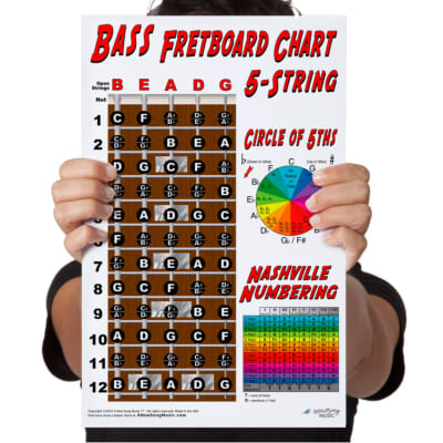Laminated New Song 5 String Bass Fretboard Chart Poster | Reverb