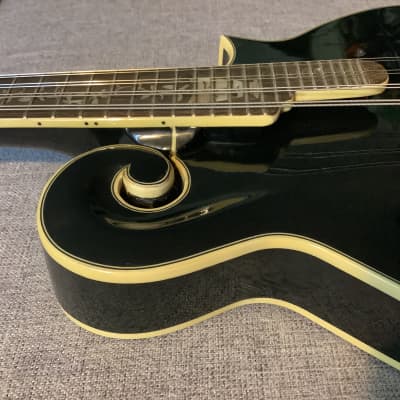 Johnson MF 370 2005 - Dark black F style mandolin | Reverb