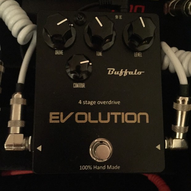 Buffalo FX Evolution | Reverb