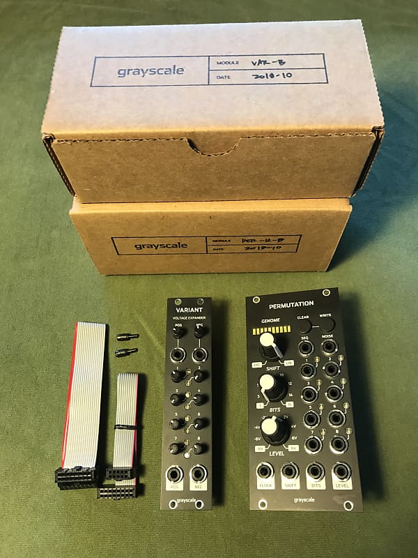 Grayscale 12hp Permutation & Variant, CV enhanced Turing | Reverb