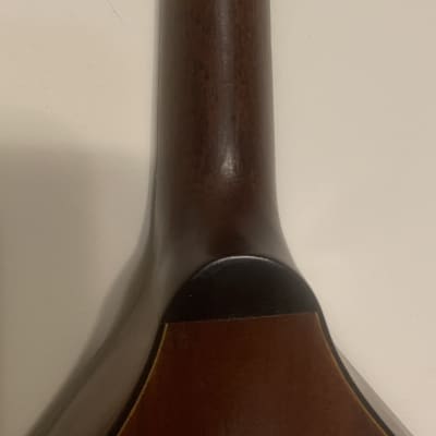 Wurlitzer mandolin 1919-1922 - natural mahogany | Reverb