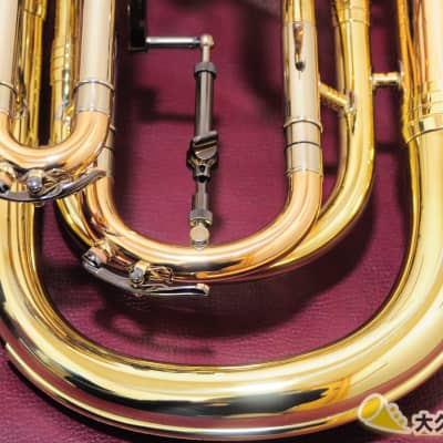 GENEVA Cardinal/Baritone Horn-LAQ (Brand New) | Reverb