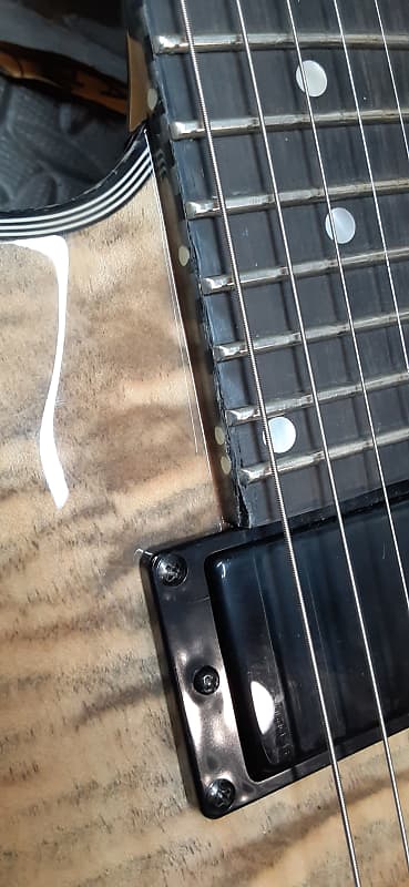 Schecter C-1 Snow Leopard 6 String Electric Guitar | Reverb