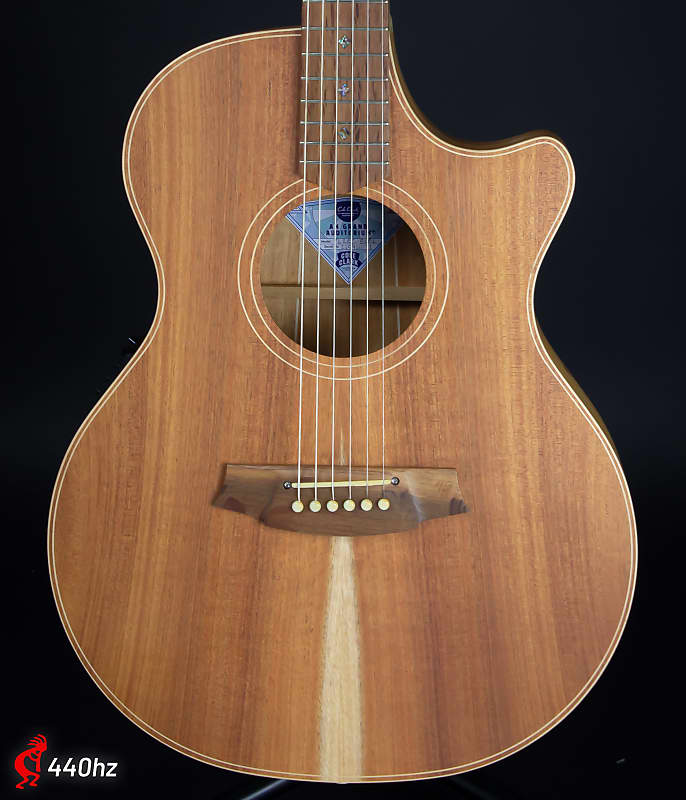 Cole Clark Thinline TL2EC-BLBL | Reverb