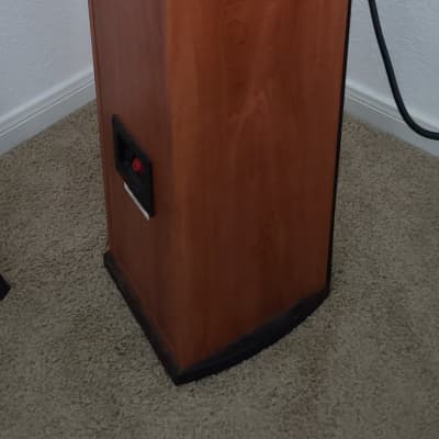 Polk Audio R30 Speakers - Pair | Reverb