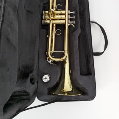 Raymond Musical Instruments RMTR-150 Trumpet | Reverb