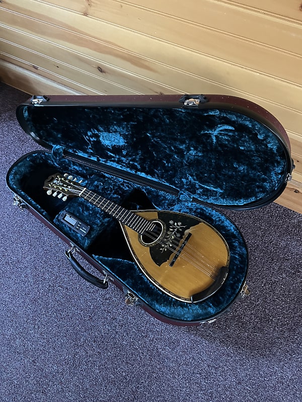 Wm. C. Stahl by Larson Brothers English Style Flat Back / | Reverb