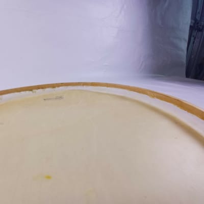 Slingerland 14"Resonant Slunk Genuine Calf Skin Orchestra | Reverb