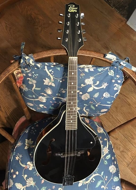 Rogue Mandolin A-Style Black | Reverb