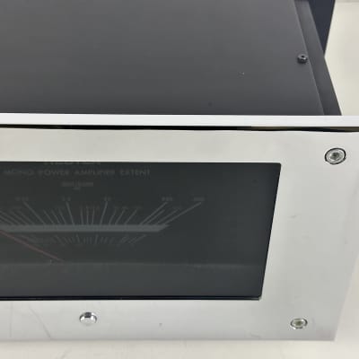 2x Restek Extent Mono Endstufe / Power Amplifier | Reverb