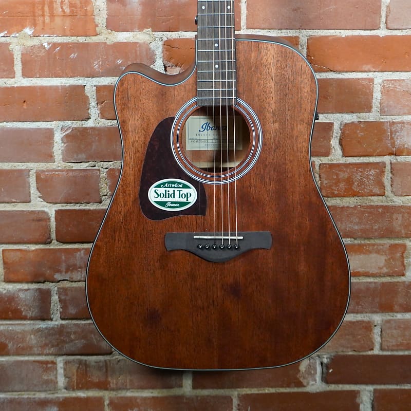 Ibanez Artwood Series Acoustic Electric Cutaway Open Pore Reverb