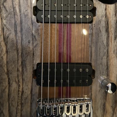 Kiesel DC800 2019 | Reverb