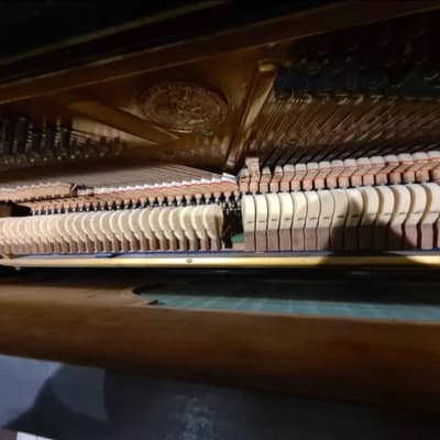 Rare Restored Artcase C. Bechstein Model II Upright Grand | Reverb
