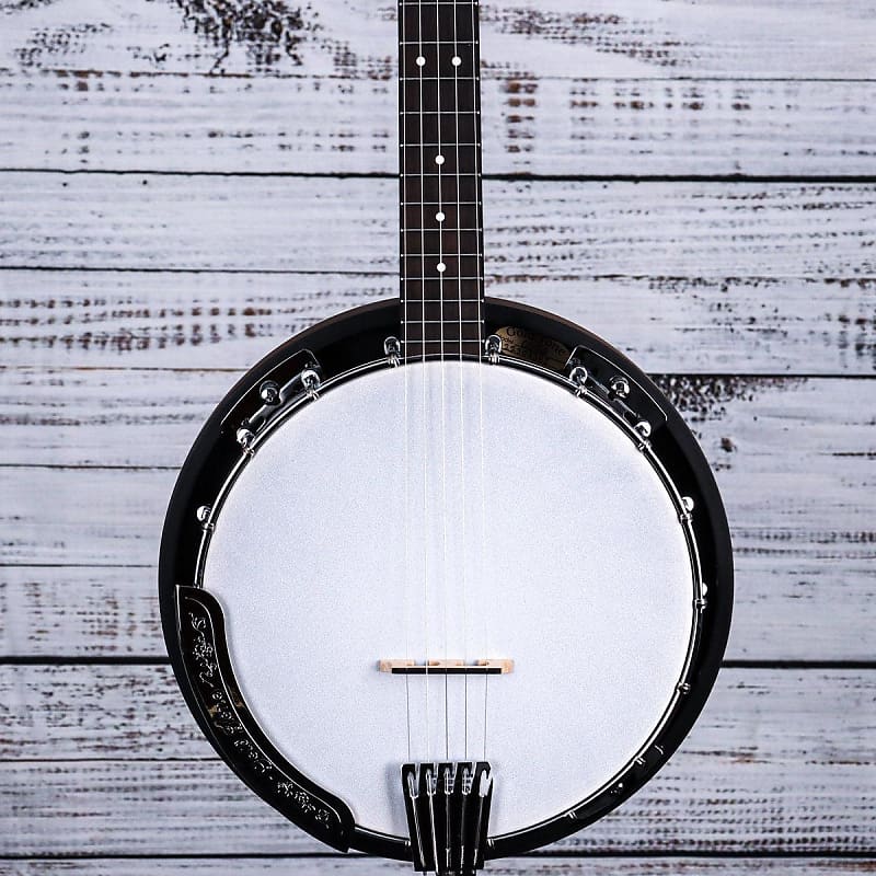 *DEMO* Gold Tone Bluegrass Banjo Package | CC-BG | Reverb
