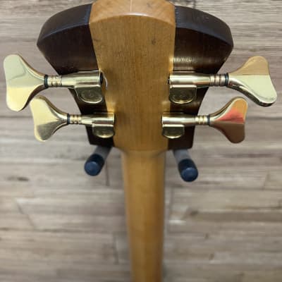 Spector SB-1 Lined Fretless 4- String Bass 1977 Made in | Reverb