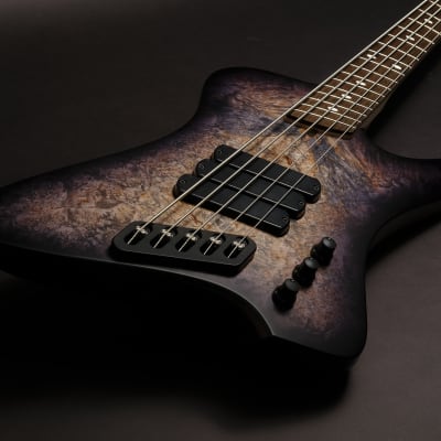 Dingwall D-Roc Custom 5 2025 - Trans Black Burst | Reverb