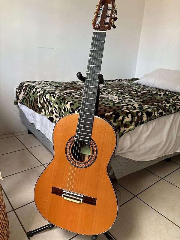 Yulong Guo - Echoes cedar double top classical | Reverb Australia