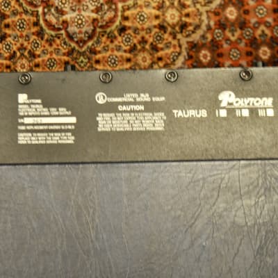 POLYTONE TAURUS II | Reverb