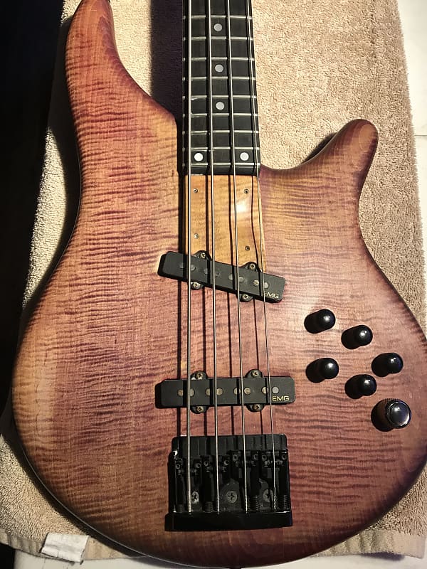 Tim Salas Custom neck thru 4 string electric bass | Reverb