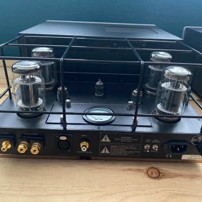 Pair of Rogue Audio M150 Monoblock Amplifiers (Two) | Reverb