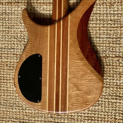 Peavey C5 / Zephyr Passive 5 String Bass | Reverb