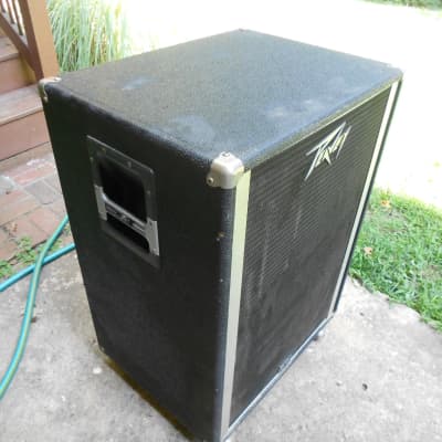 Peavey 1810 Scorpion Bass Cabinet | Reverb