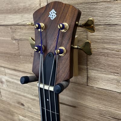 Spector SB-1 Lined Fretless 4- String Bass 1977 Made in | Reverb