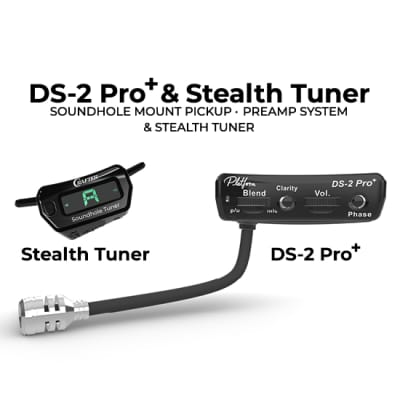 Crafter Sungeum D-50th VVS 50th Anniversary Dreadnought | Reverb