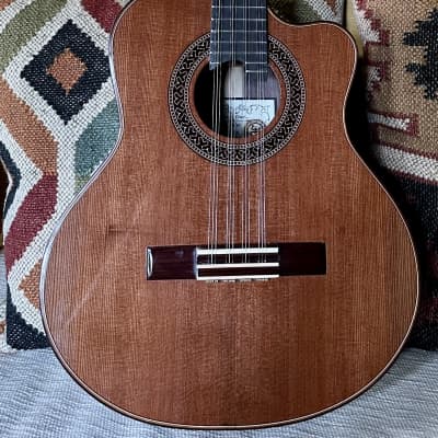 Professional Colombian Tiple Redwood Like New | Reverb