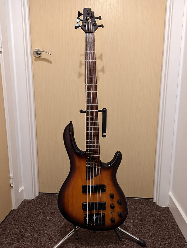 Cort B5 - 5 String Bass Guitar | Reverb