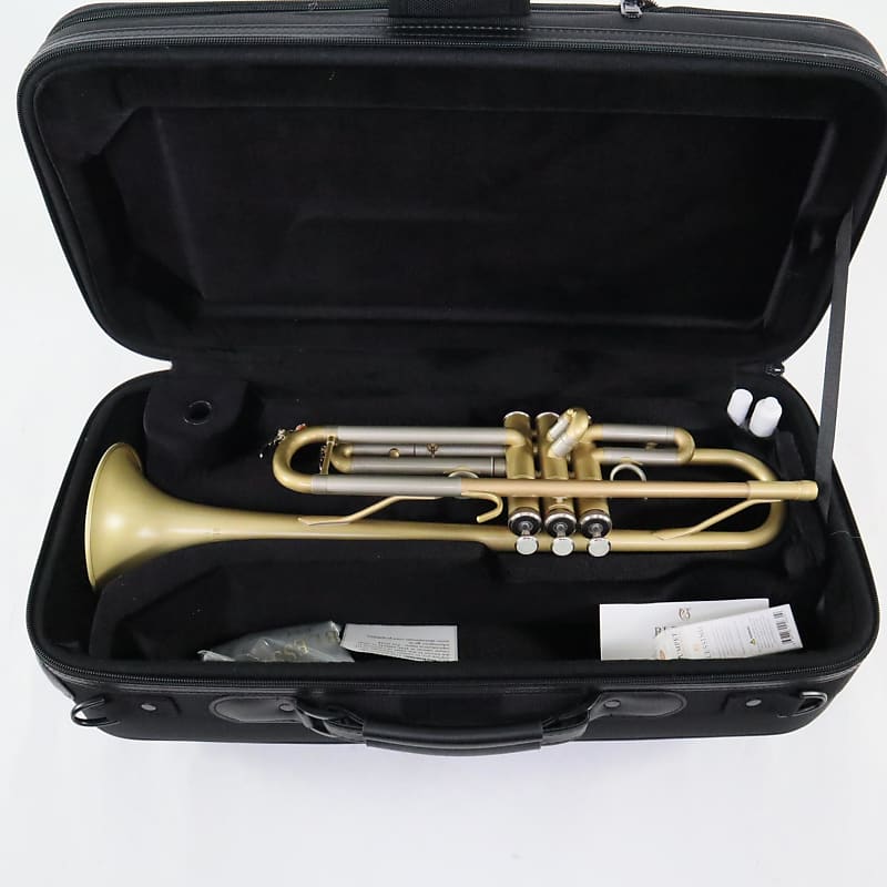Blessing Model BTR-1460M Intermediate Bb Trumpet in Matte | Reverb