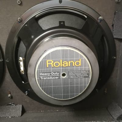 Roland 10" Speaker 2020s | Reverb