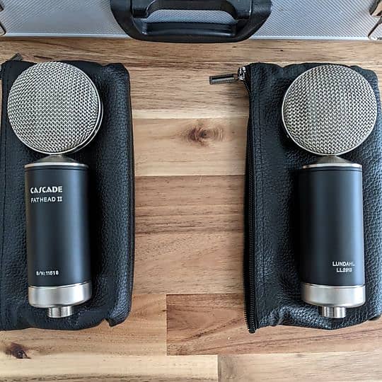 Cascade Fathead II Ribbon Microphone (Stereo Pair) 2020 | Reverb
