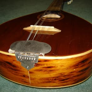 Mandriola / 12 String Mandolin | Reverb